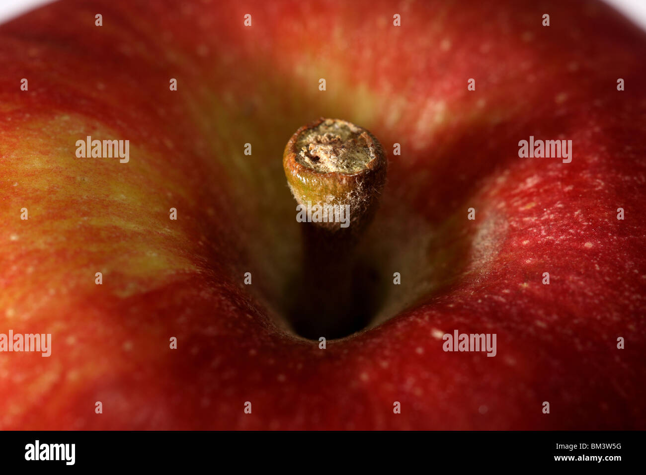 Apple with stalk hi-res stock photography and images - Alamy