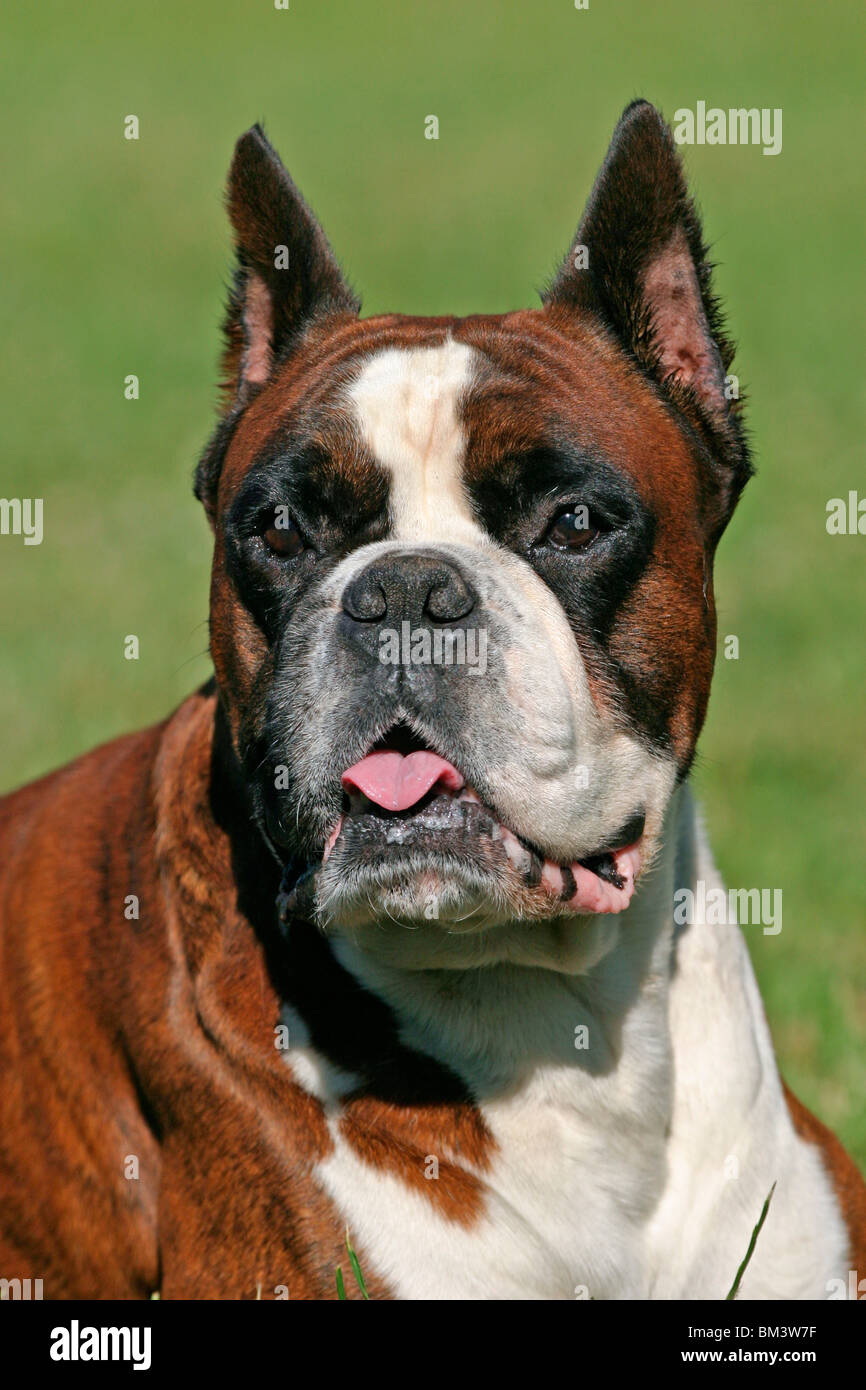 Rr 07604 hi-res stock photography and images - Alamy