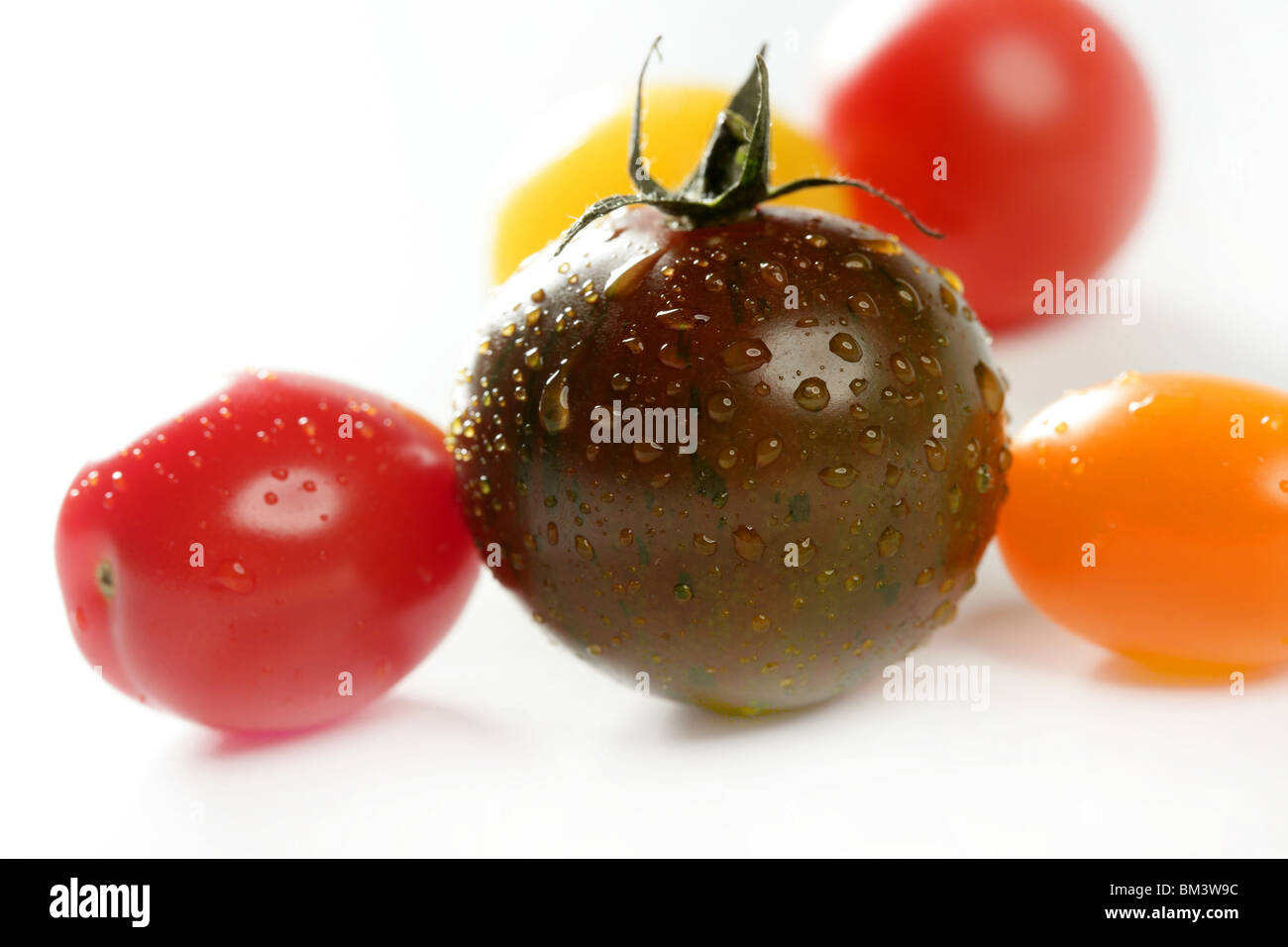 Little cherry varied multi color tomatoes, at studio, white background ...