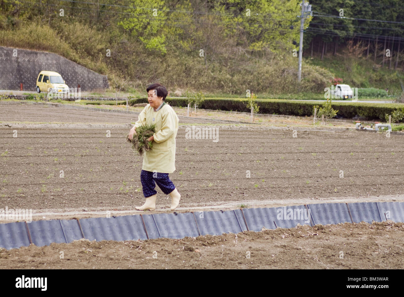 Japanese farm workers hi-res stock photography and images - Alamy