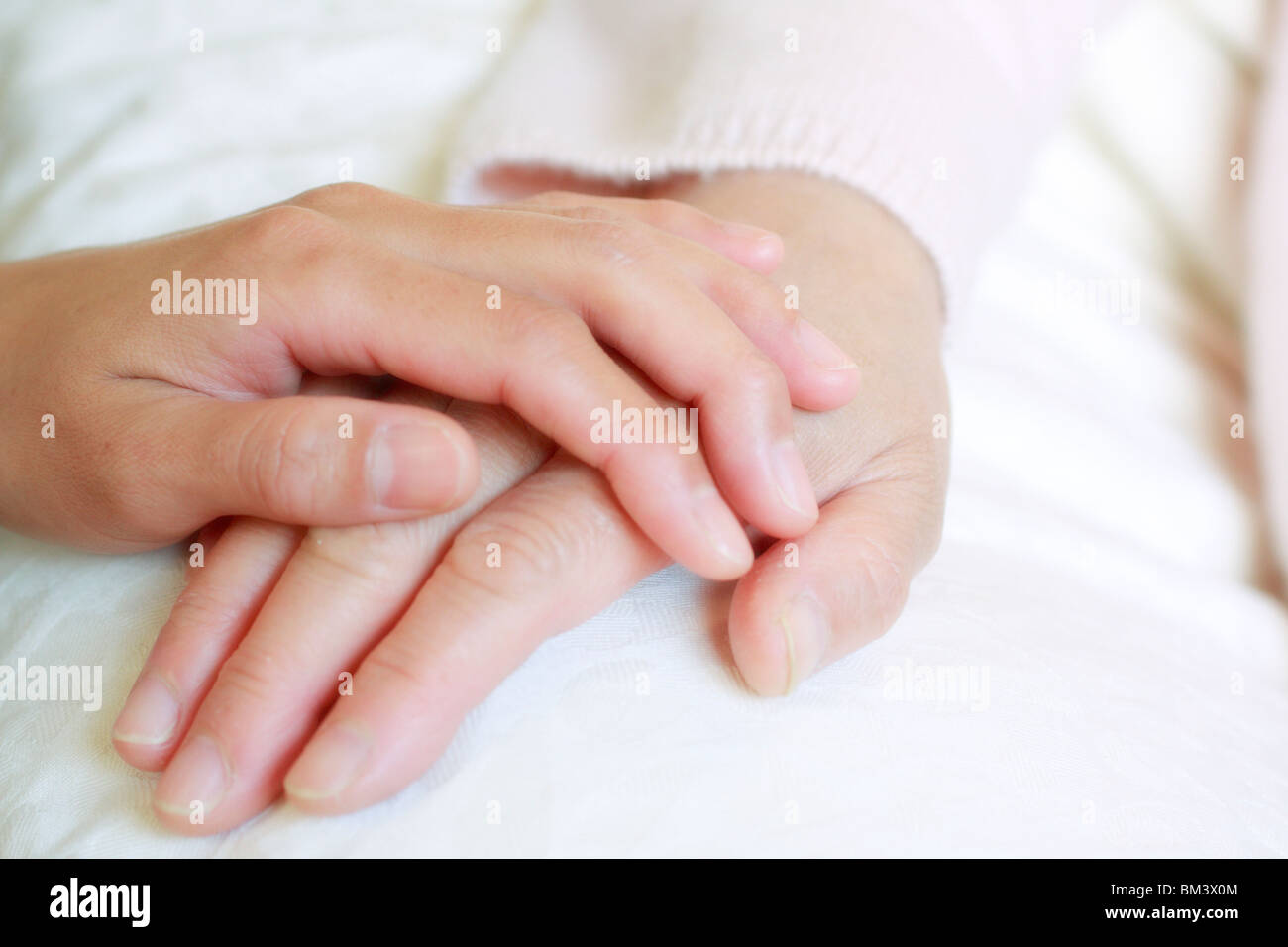 Womens hands from above hi-res stock photography and images - Alamy