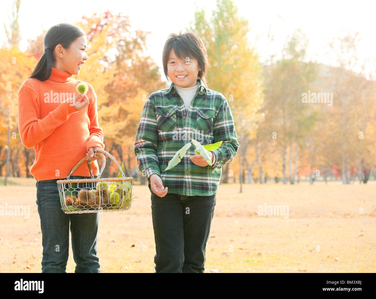 Boy and Girl Picking Up Chestnuts in Field Stock Photo - Alamy