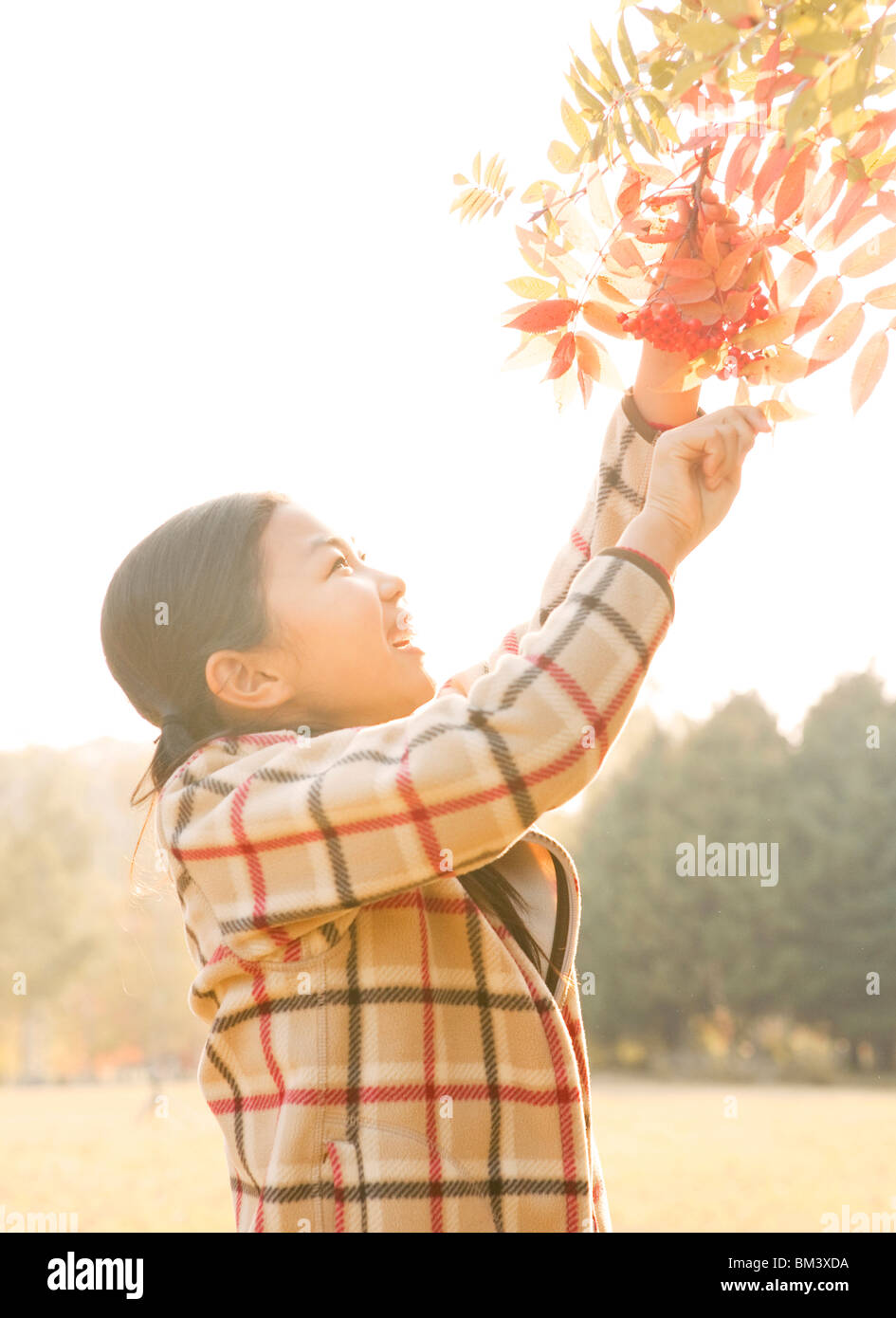 Girl Picking Up Red Berry Stock Photo - Alamy