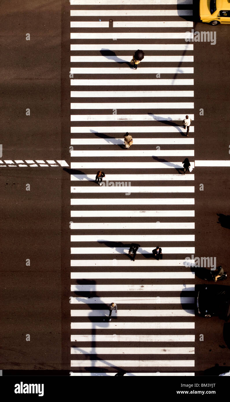 High Angle View of Crosswalk Stock Photo - Alamy