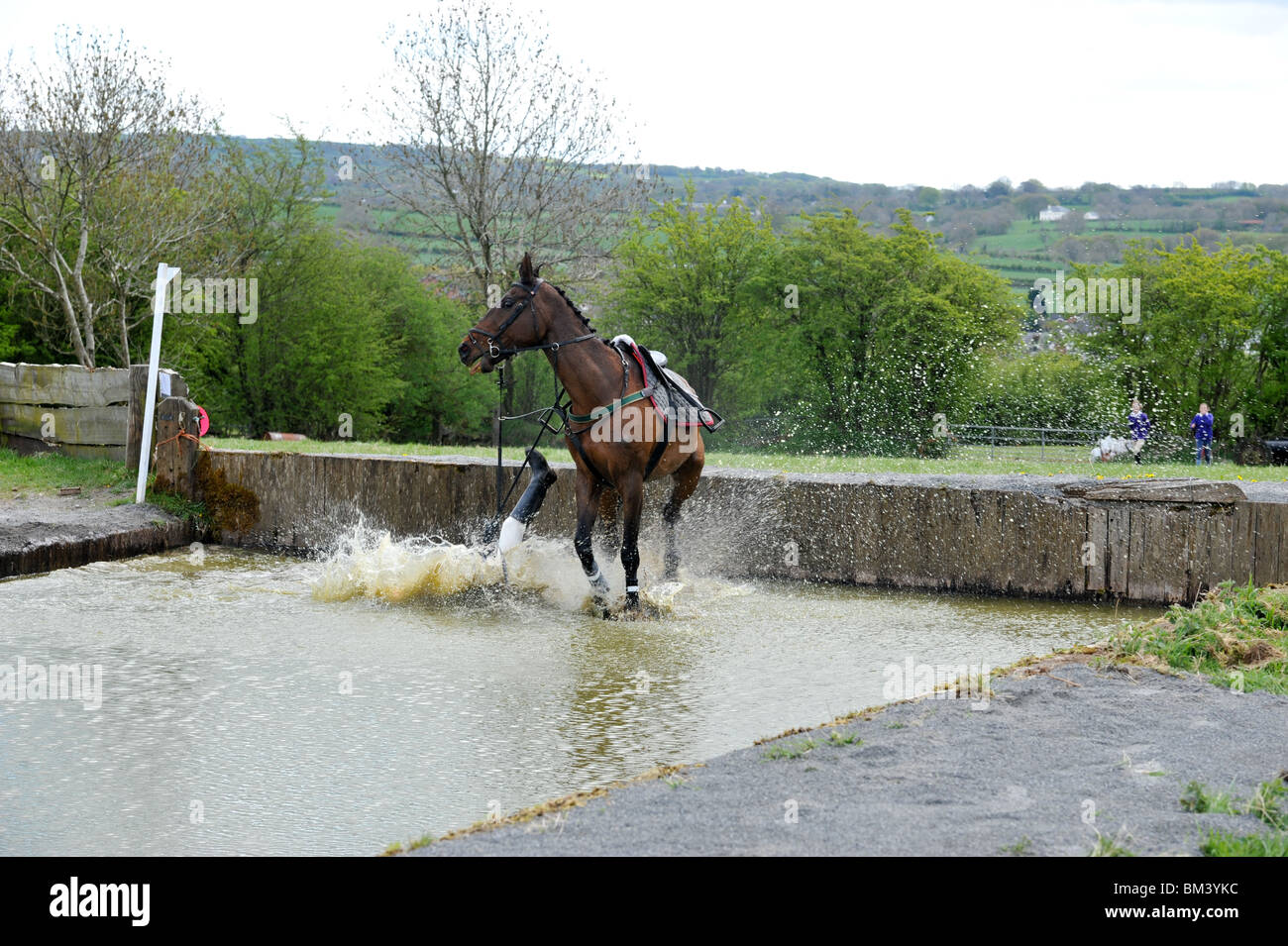 Horse Rearing With Rider Falling Off