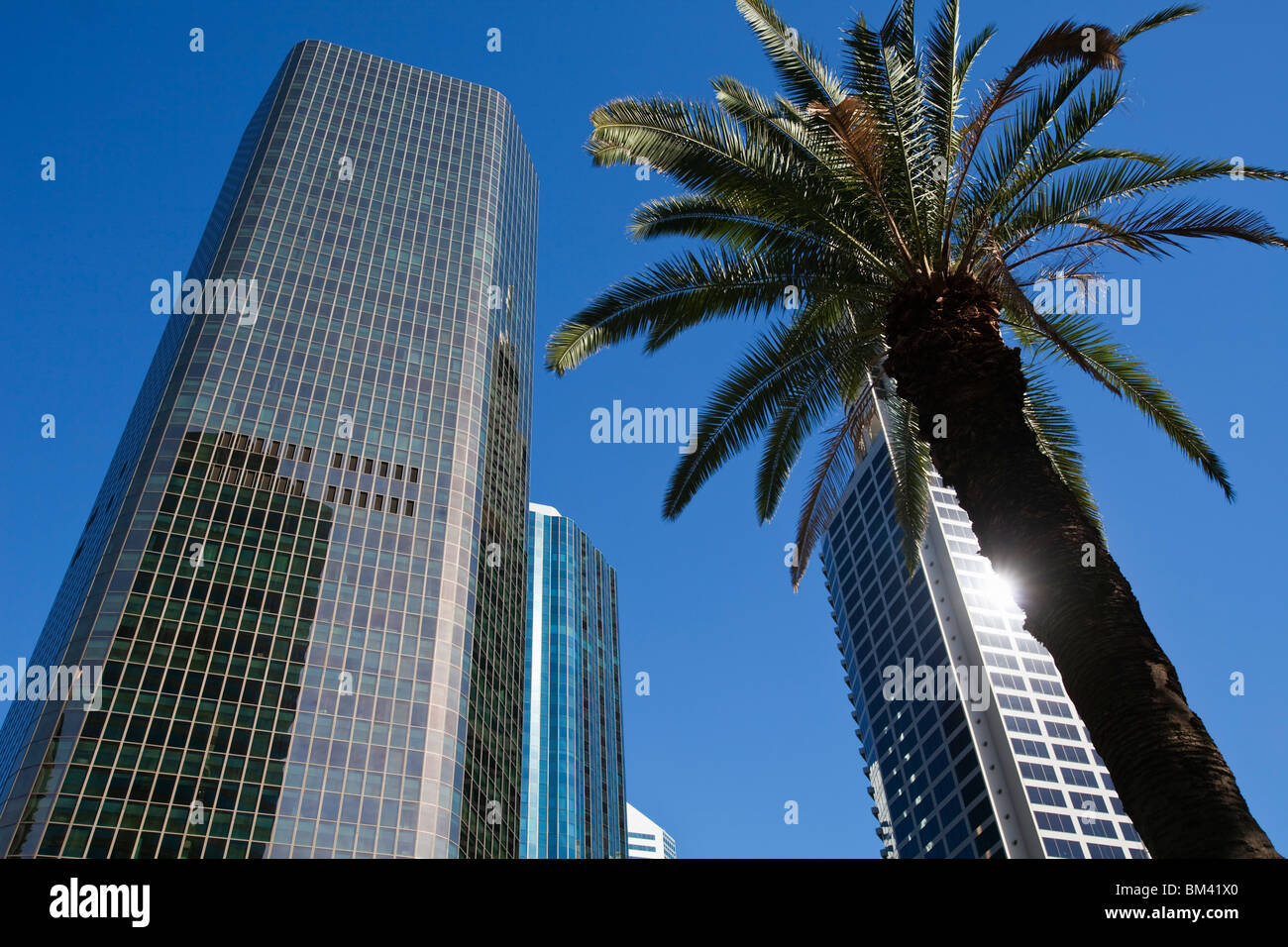 Brisbane buildings and architecture hi-res stock photography and images ...