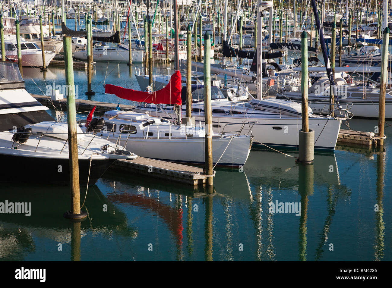 Yachts in Westhaven Marina. Auckland, North Island, New Zealand Stock ...