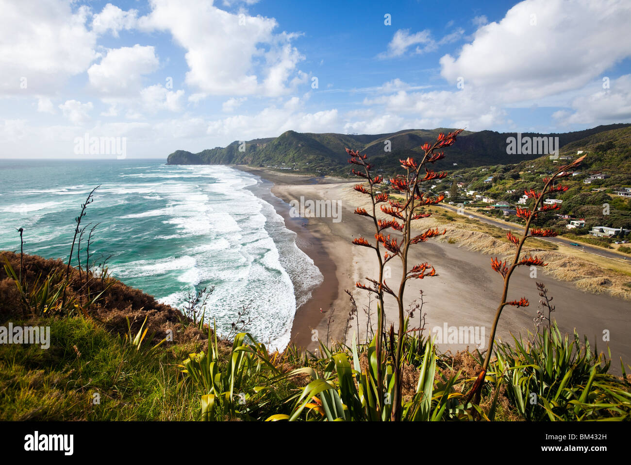 View of Piha beach from Lion Rock. Piha, Waitakere Ranges Regional Park ...