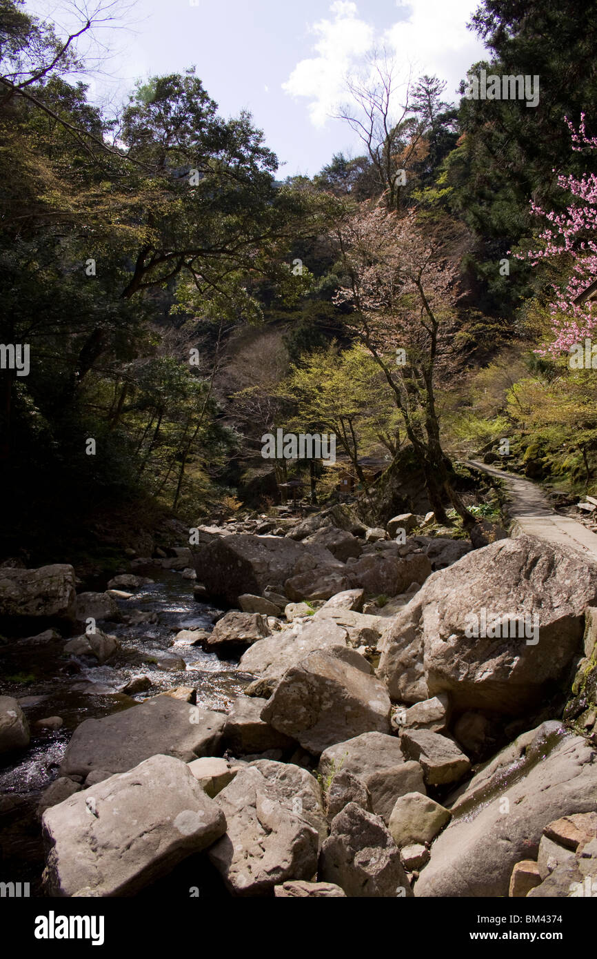 Akame 48 waterfalls, near Ise, Japan Stock Photo - Alamy