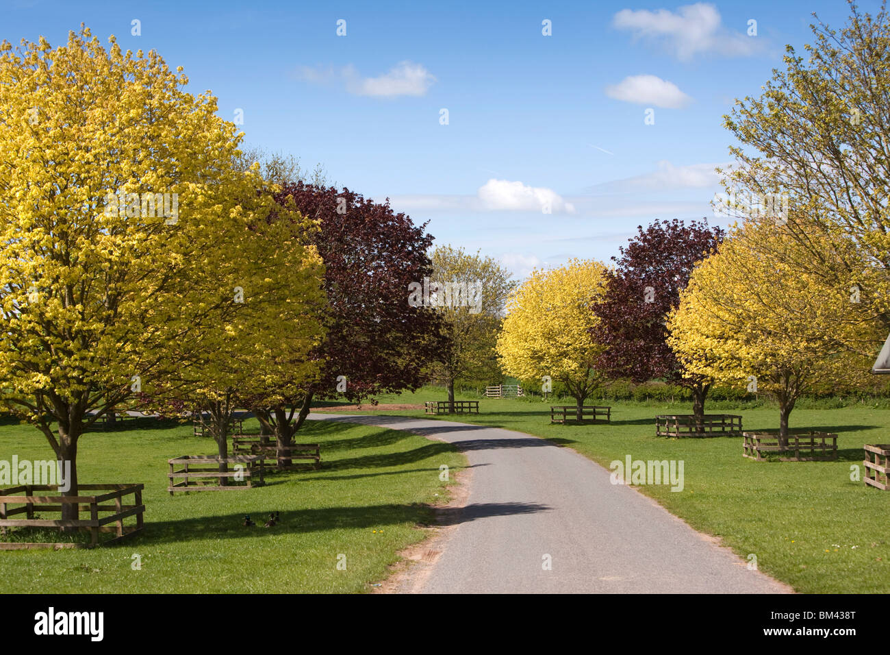 How caple court hi-res stock photography and images - Alamy