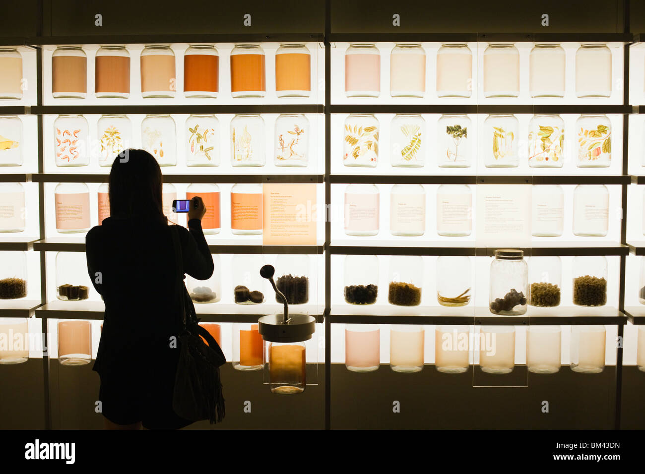 'Eating on the Street' Living Gallery in the National Museum of ...