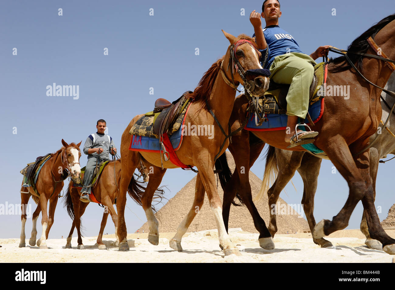 horse riders , Pyramids of giza, Giza Necropolis bordering what is now ...