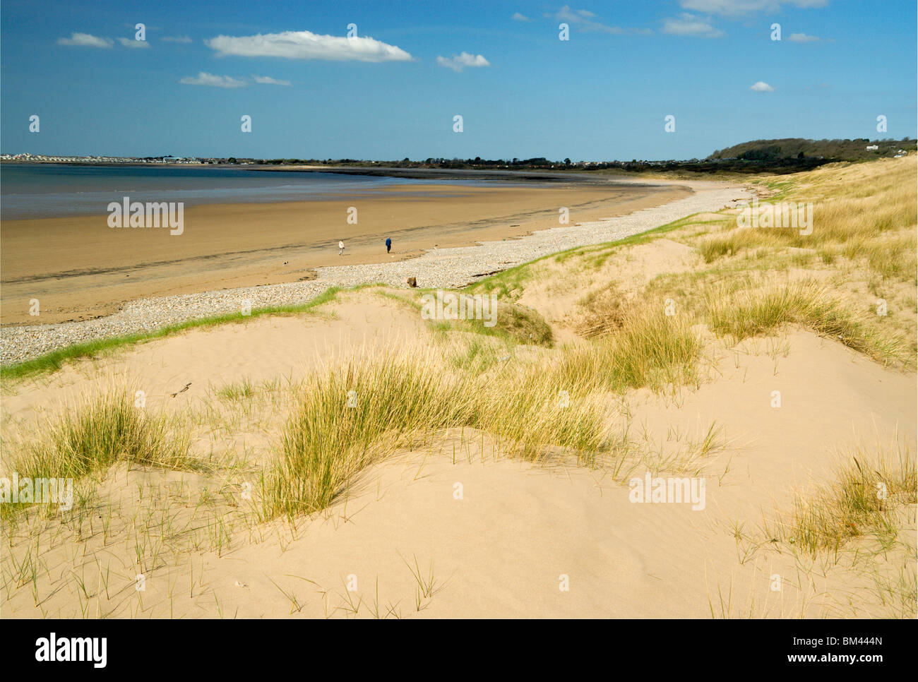 Merthyr Mawr Warrens and beach, Bridgend , South Wales Stock Photo - Alamy