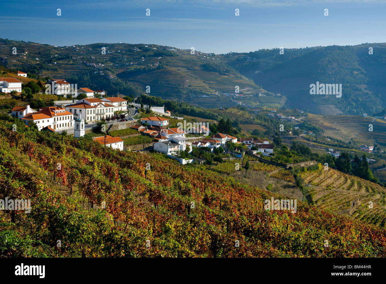 Portugal, The Alto Douro District, A Village And Vineyards In The Douro ...