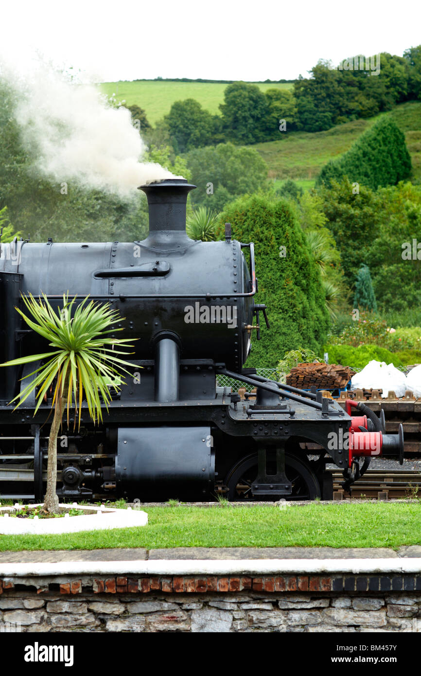 South devon steam railway station hi-res stock photography and images ...