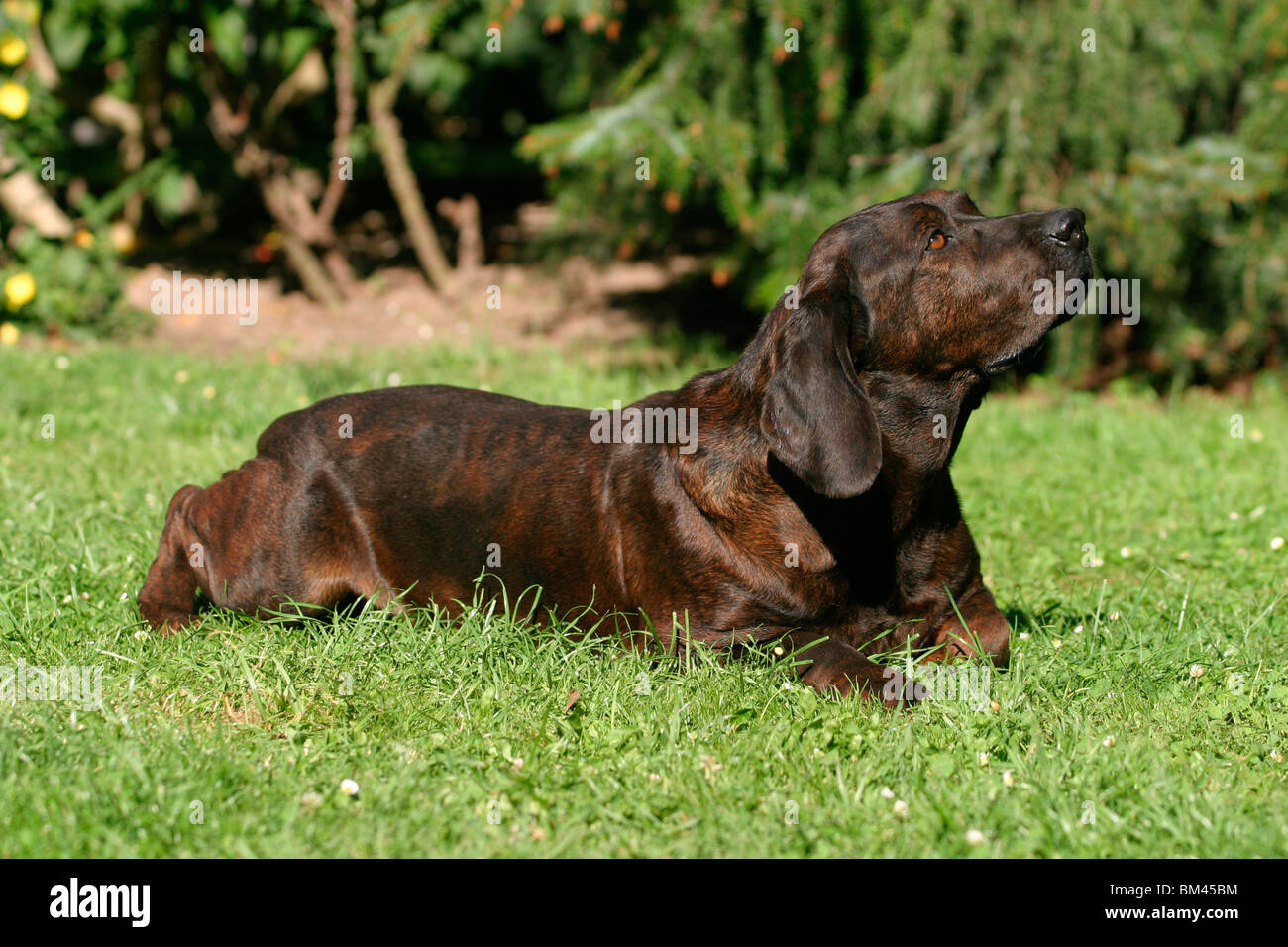 Rr 07757 hi-res stock photography and images - Alamy