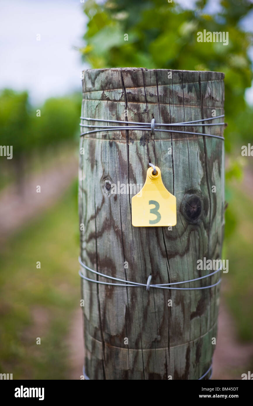 Waipara valley new zealand hi-res stock photography and images - Alamy