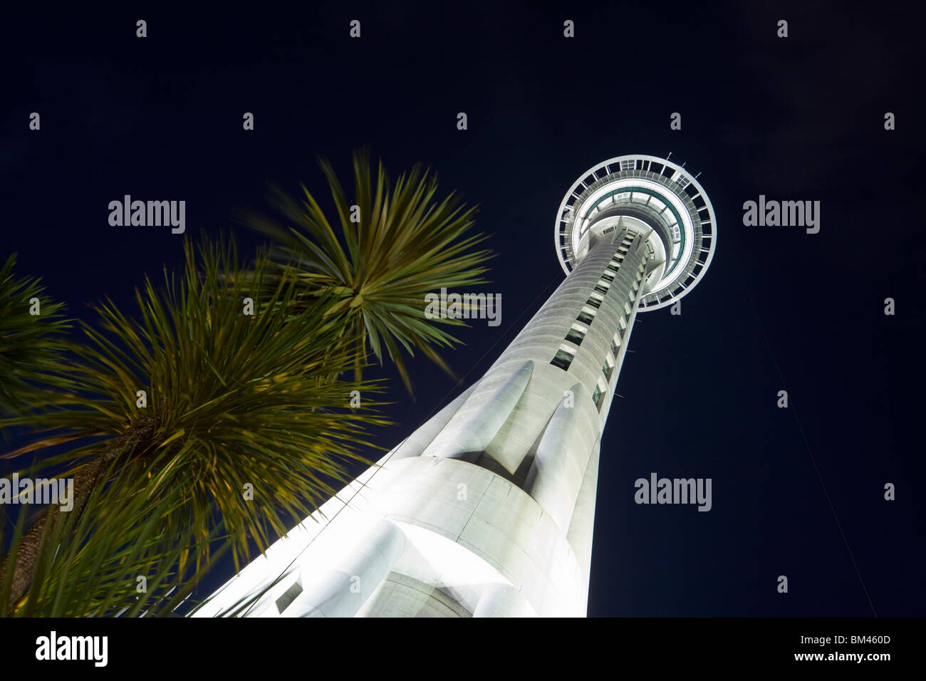 The Sky Tower illuminated at night. Auckland, North Island, New Zealand ...