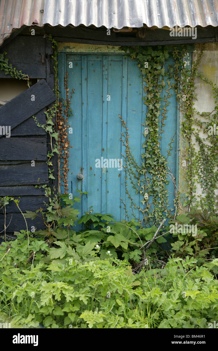 Hidden overgrown door hi-res stock photography and images - Alamy