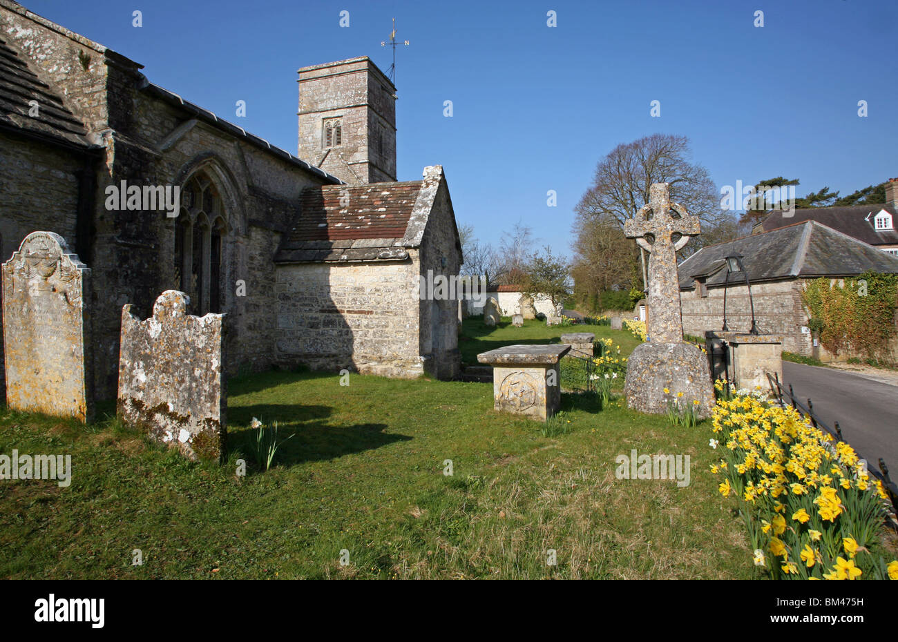 Spring daffodils in the churchyard of St Peter's Church in the village ...