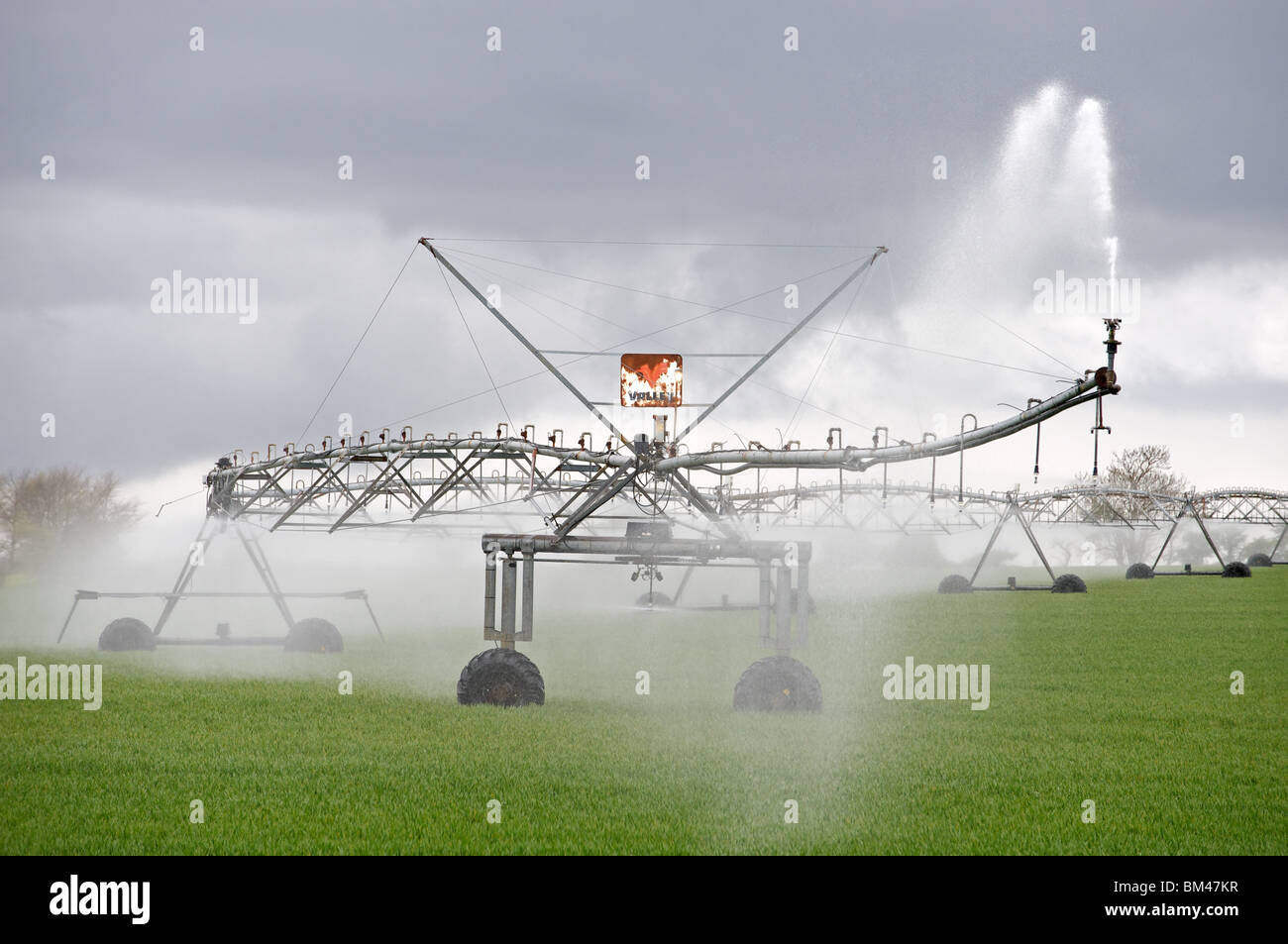 Valley precision center-pivot irrigation system, watering a wheat crop ...