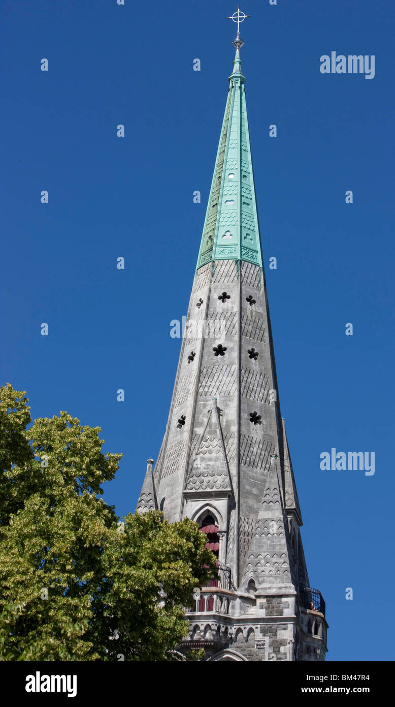 Tall tree building hi-res stock photography and images - Alamy