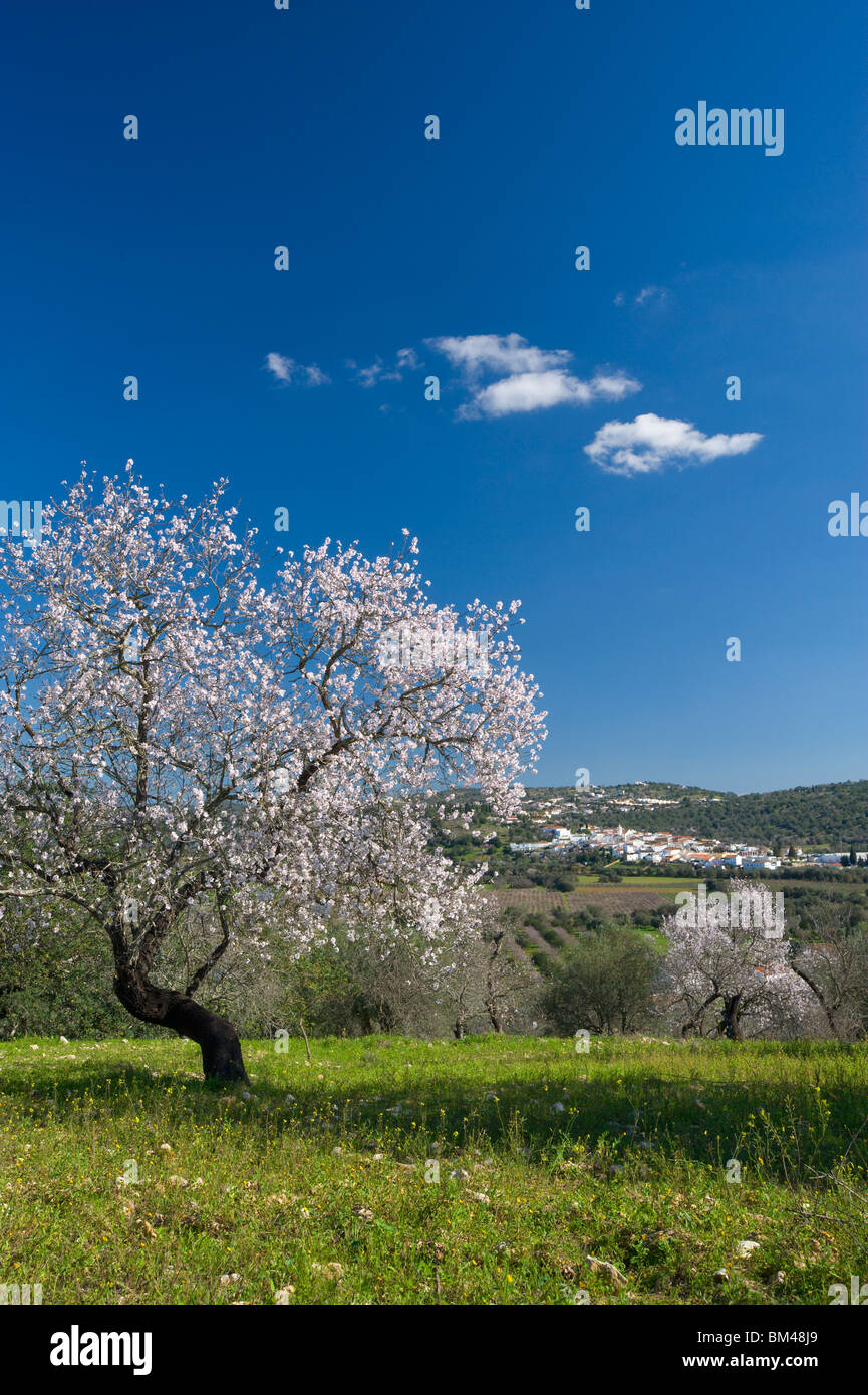 Paderne village hi-res stock photography and images - Alamy