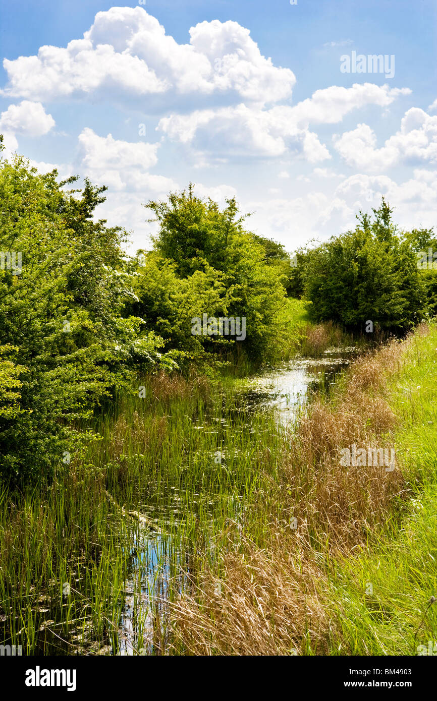 Cliffe Marshes Kent England Stock Photo - Alamy