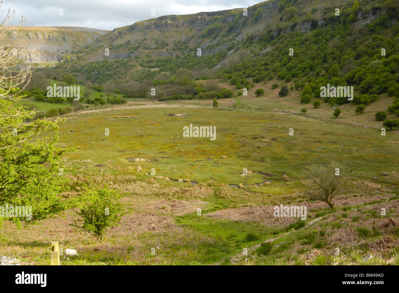 Waen hi-res stock photography and images - Alamy