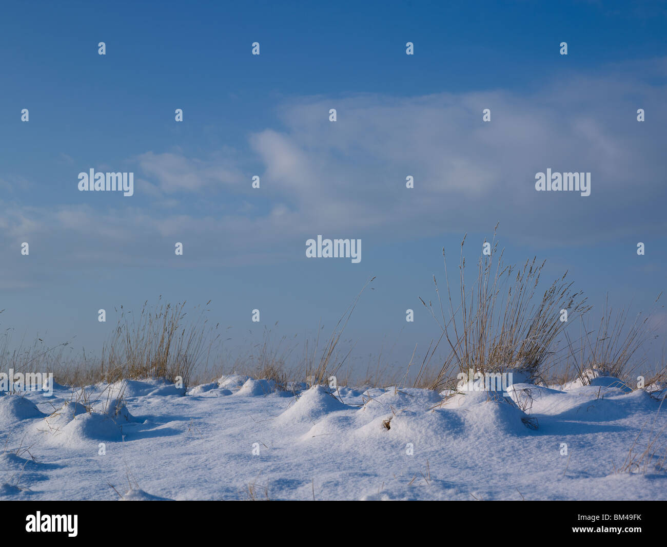 Snow on a grassy field Stock Photo - Alamy