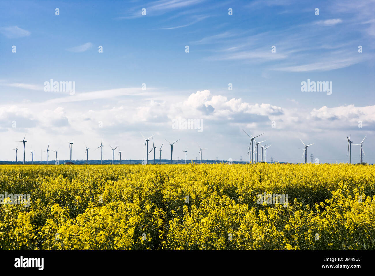 Wind Farm Walland Marsh Kent England Stock Photo - Alamy