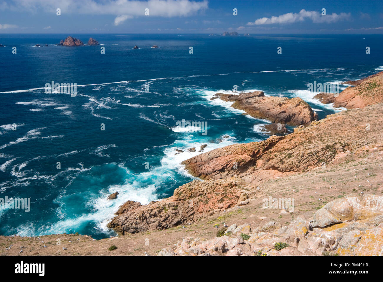 The Estelas and Farilhões Forcadas islets (Berlengas nature reserve ...