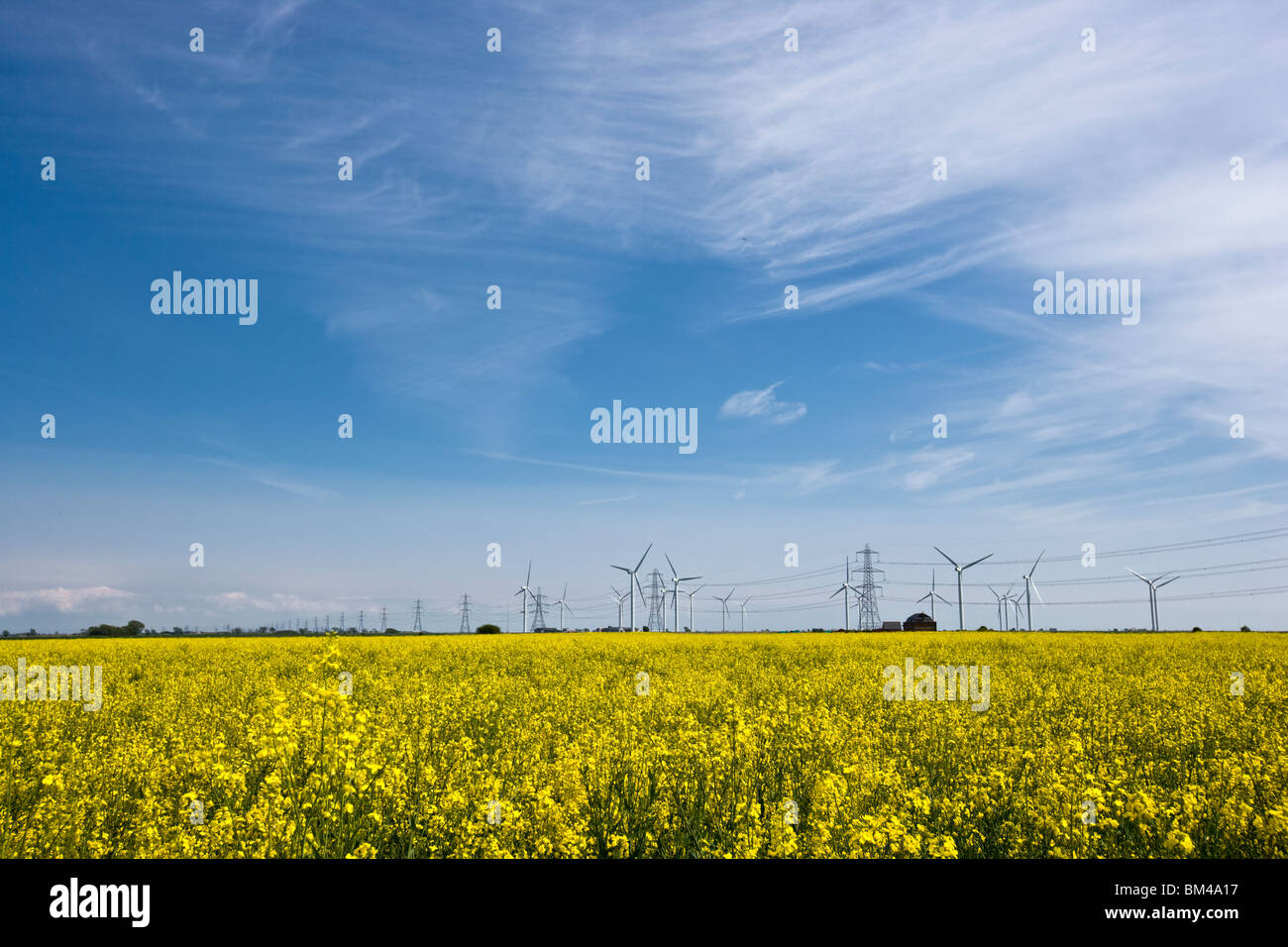 Wind Farm Walland Marsh Kent England Stock Photo - Alamy
