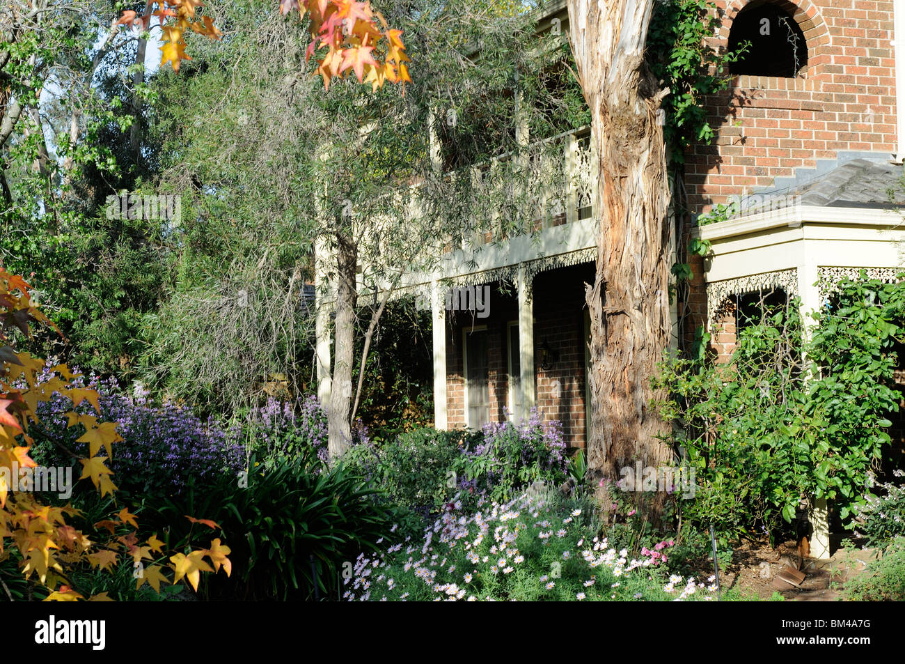 housing, Blackburn, Melbourne Australia Stock Photo - Alamy