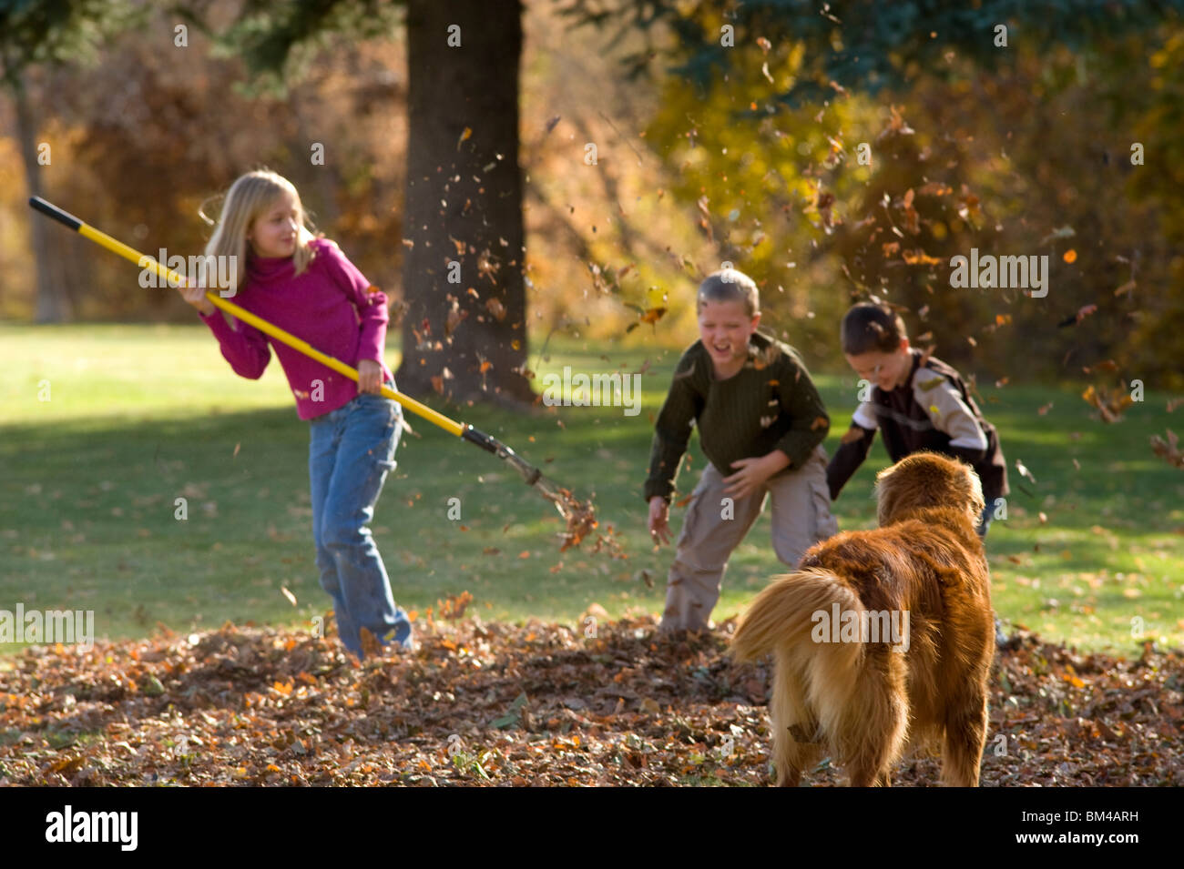 Children gardening with rake hi-res stock photography and images - Alamy