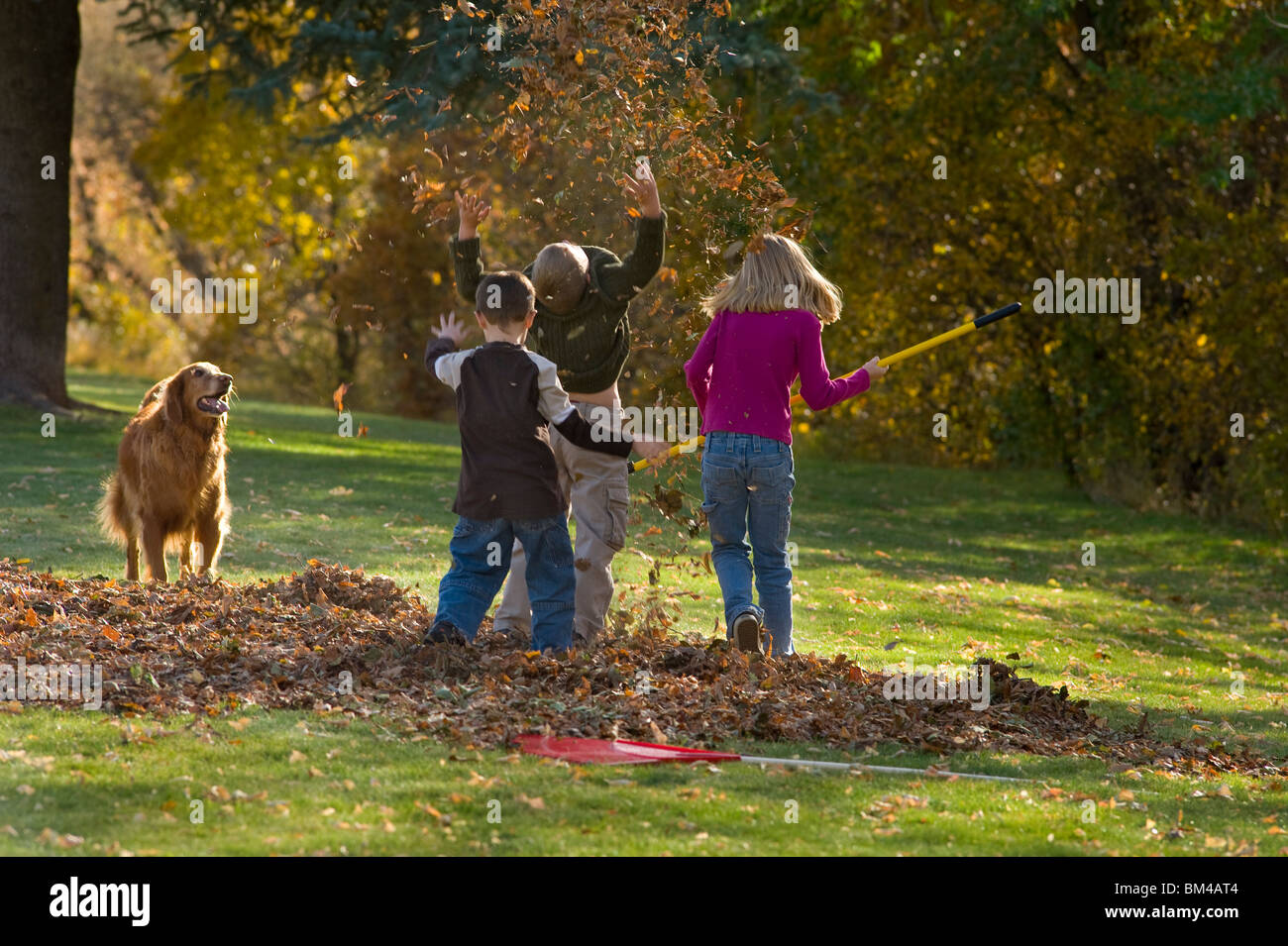 Children raking and playing in Autumn leaves Stock Photo - Alamy