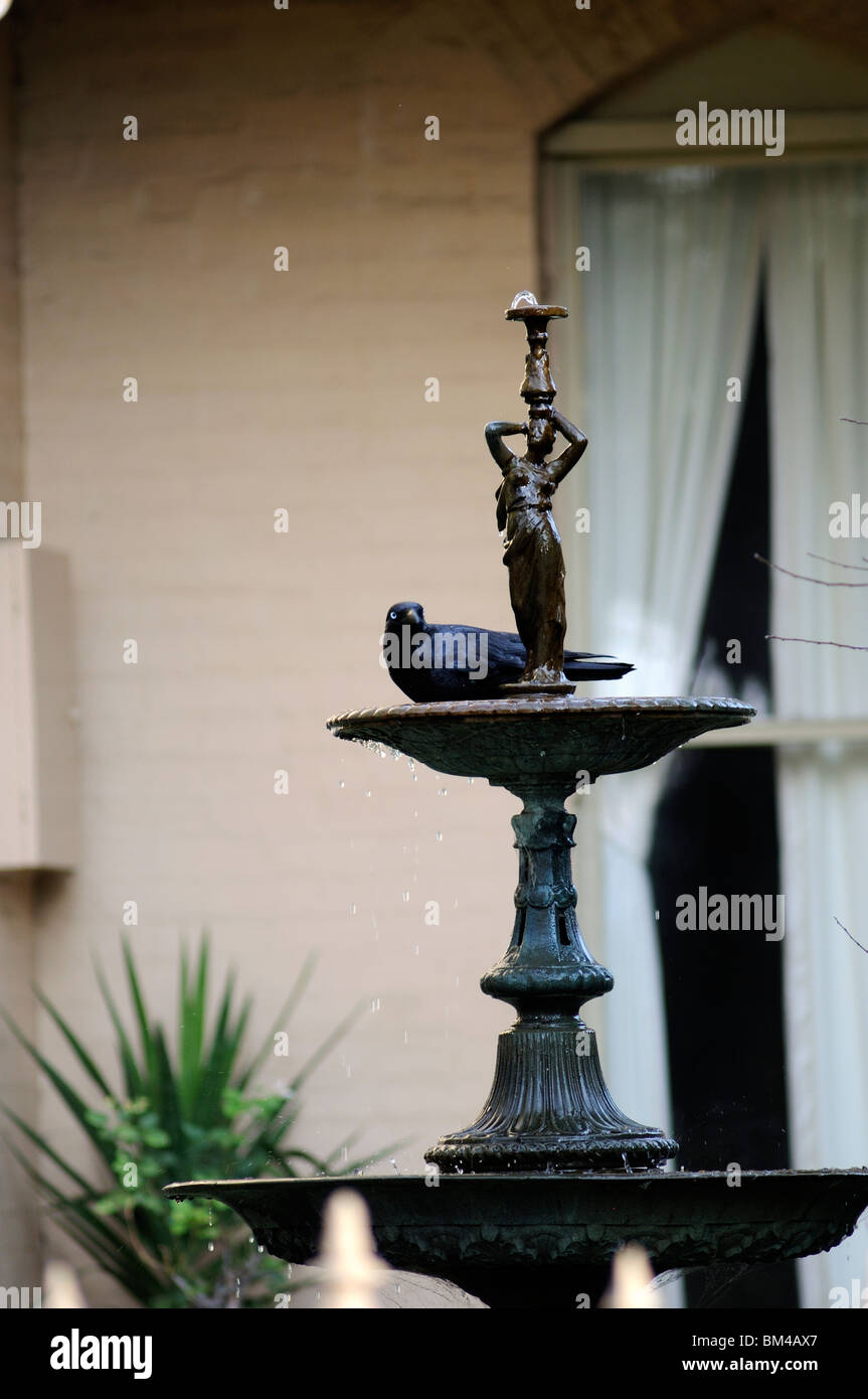 housing, Blackburn, Melbourne Australia Stock Photo - Alamy