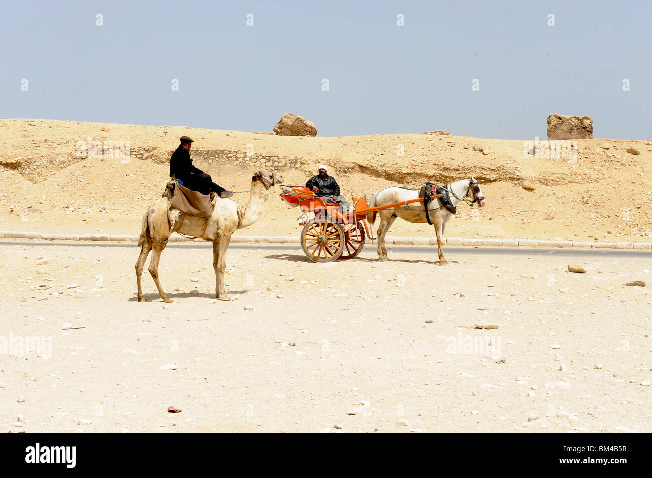 traffic police on his camel,Pyramids of giza, Giza Necropolis bordering ...