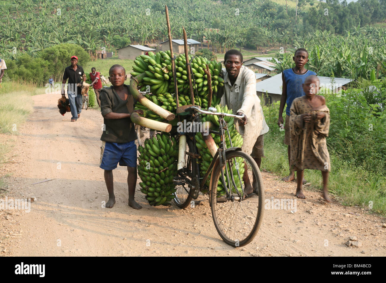 Matoke uganda hi-res stock photography and images - Alamy