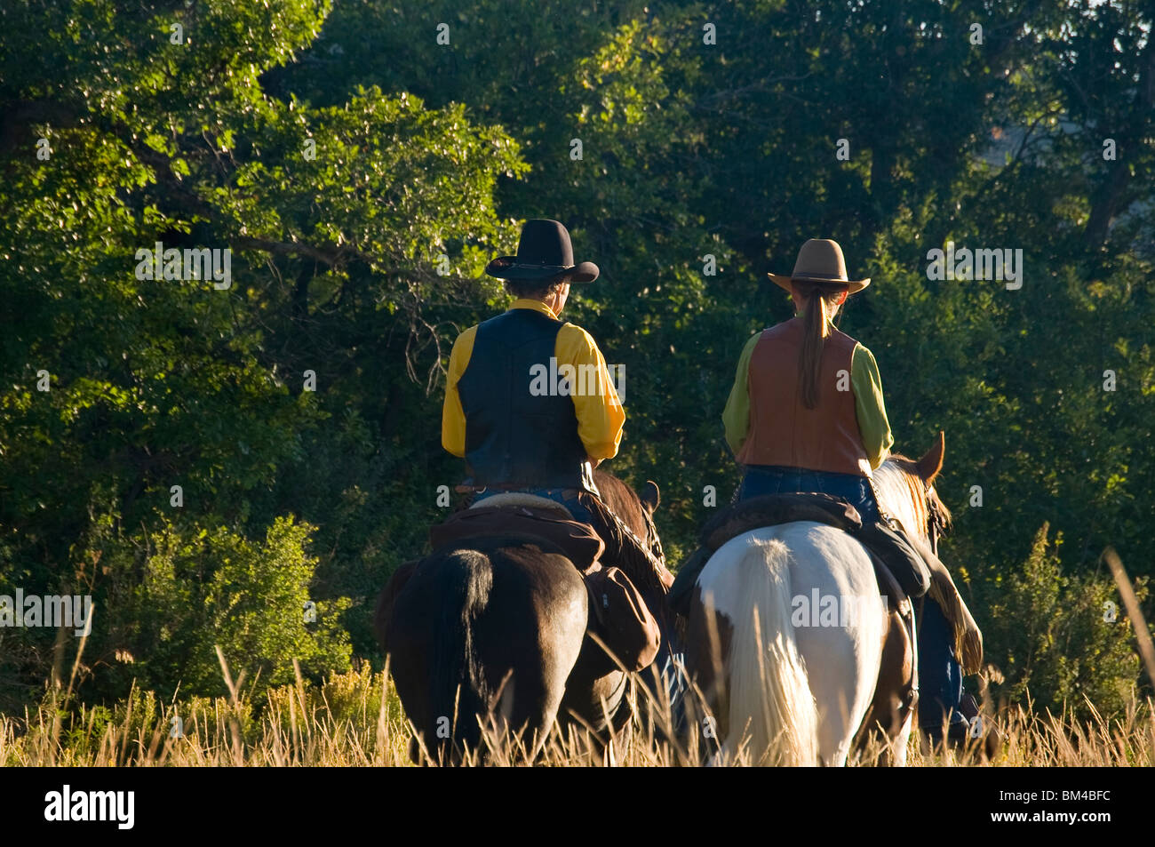 Couple riding horses Stock Photo - Alamy