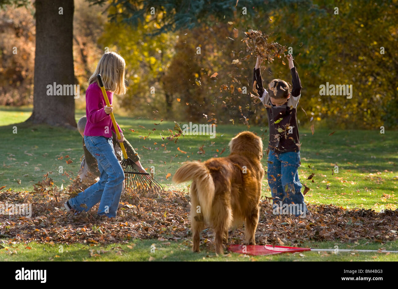Kids playing in pile leaves hi-res stock photography and images - Alamy