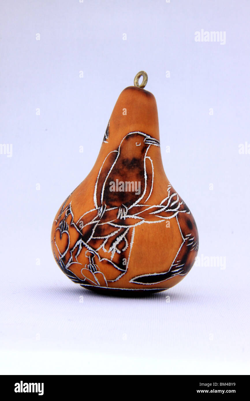 Birds of peru hi-res stock photography and images - Alamy