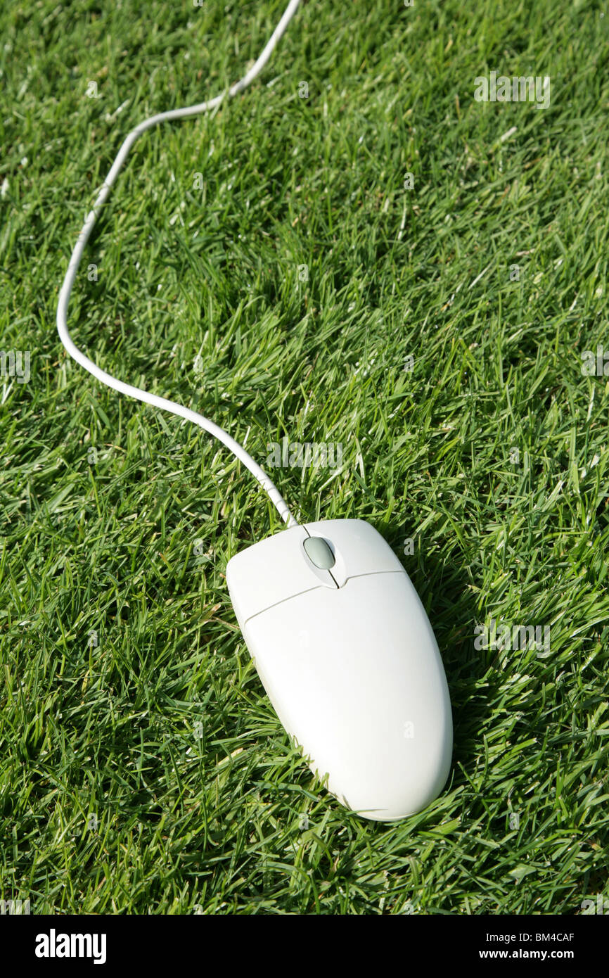 Computer Mouse and lawn, concept of Freedom, Environment Protection ...