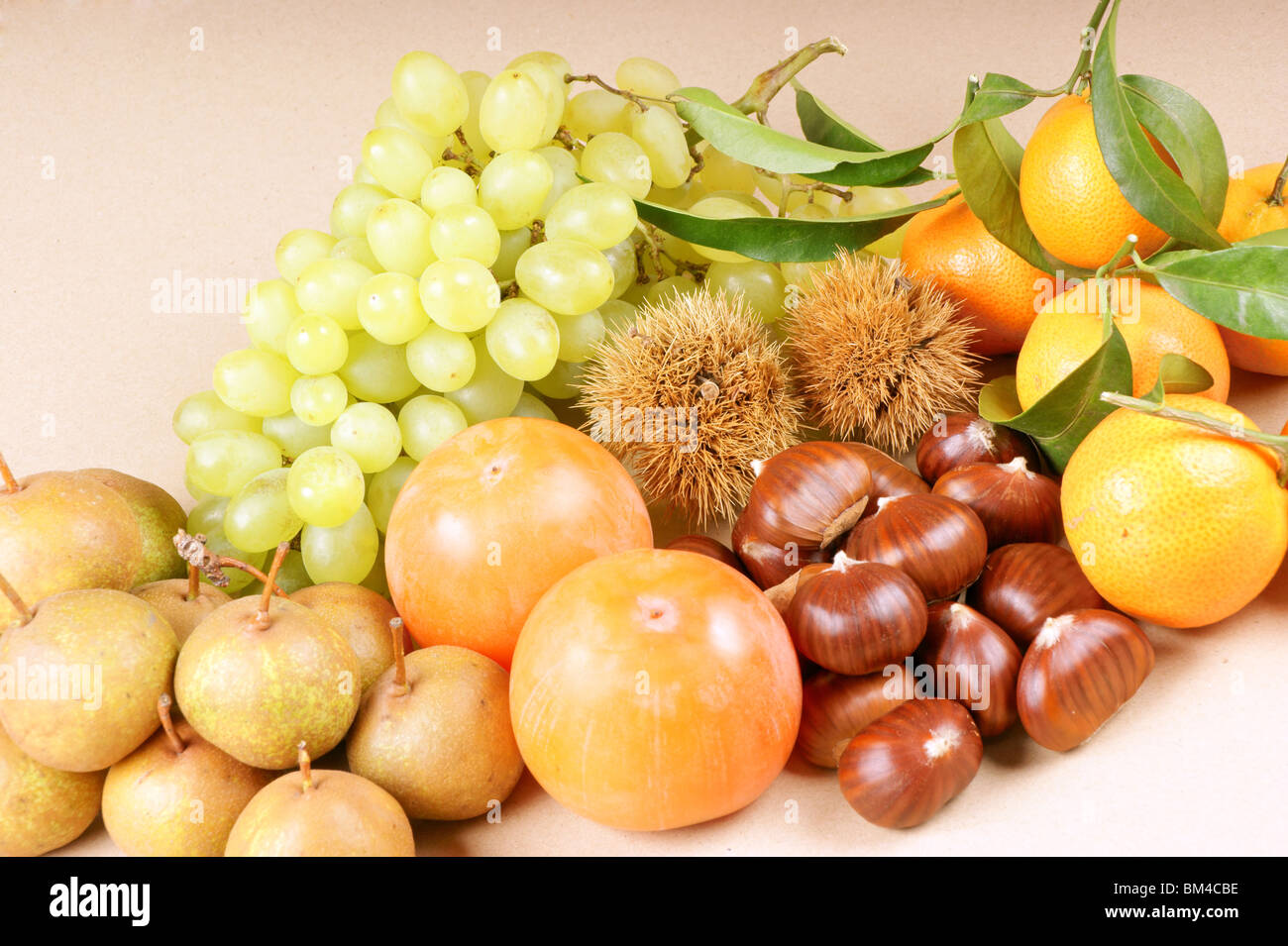 Assortment of autumn fruits over a light brown background Stock Photo ...