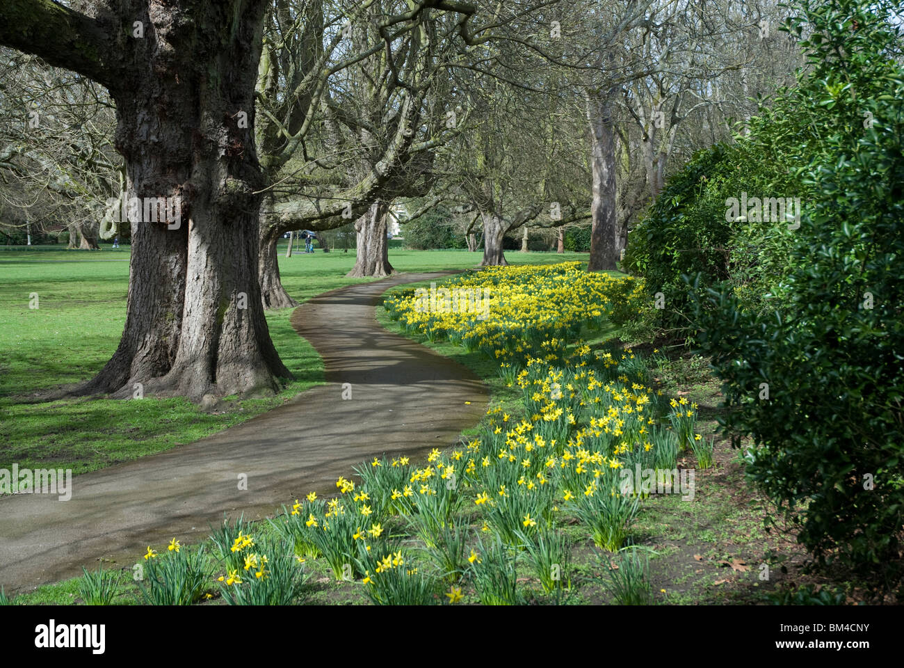 Henrietta gardens bath hi-res stock photography and images - Alamy