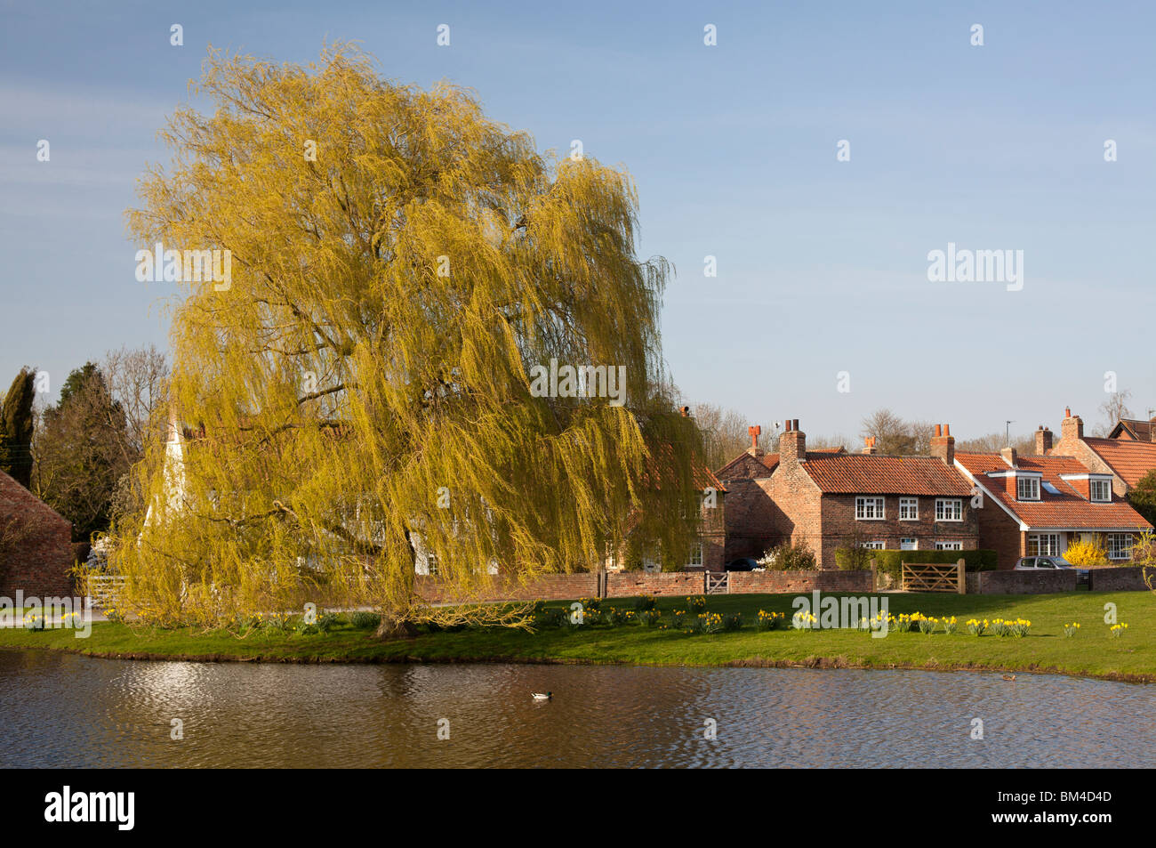 English village pond hi-res stock photography and images - Alamy
