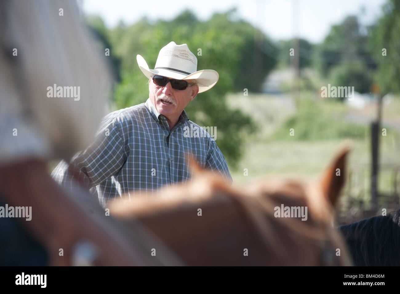 Cowboy talking to fellow cowboys while riding a horse Stock Photo - Alamy