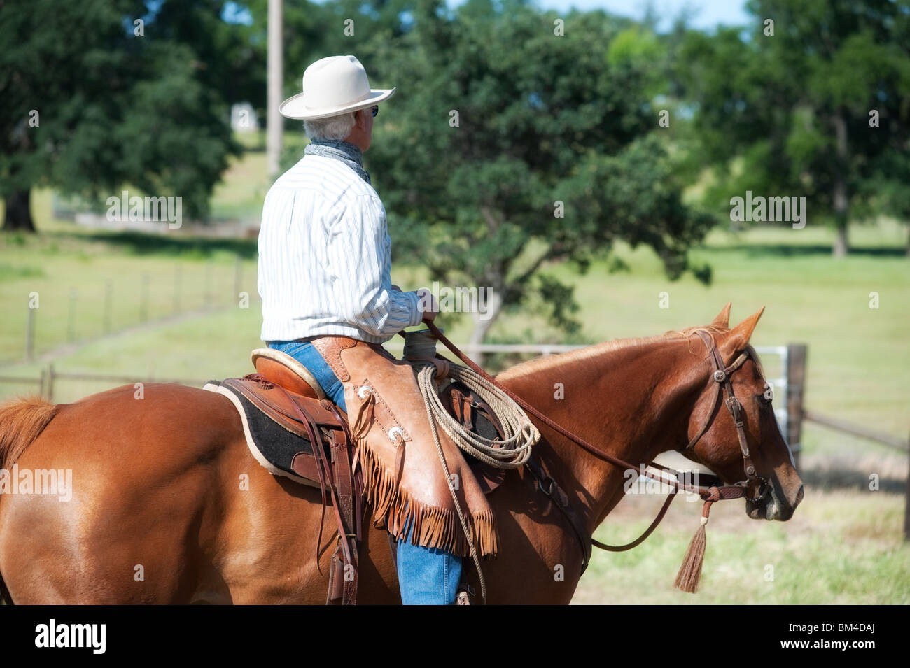 Cowboy riding his horse Stock Photo - Alamy