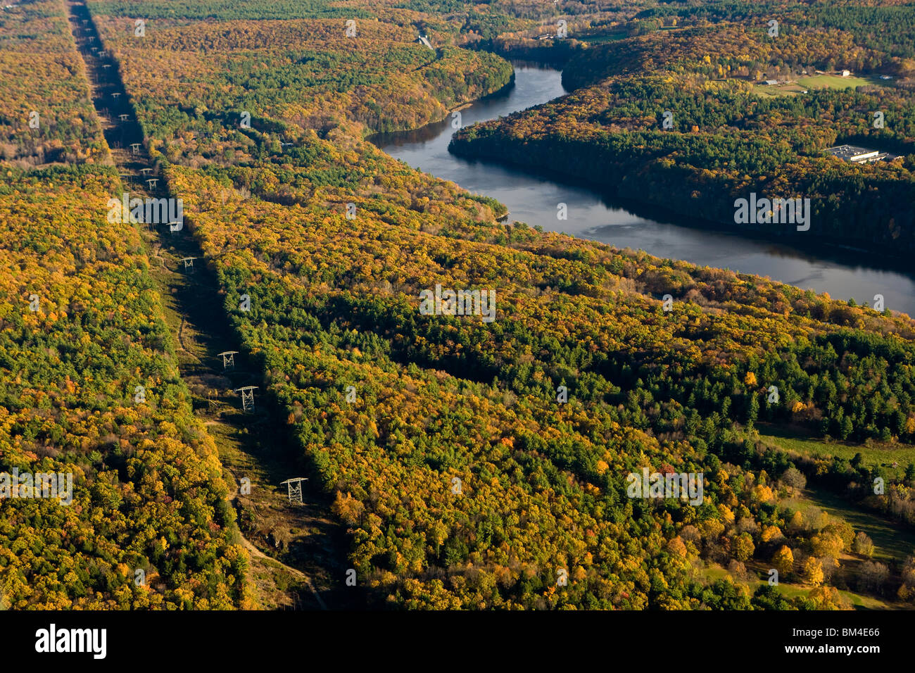 Transmission lines in a forest hi-res stock photography and images - Alamy