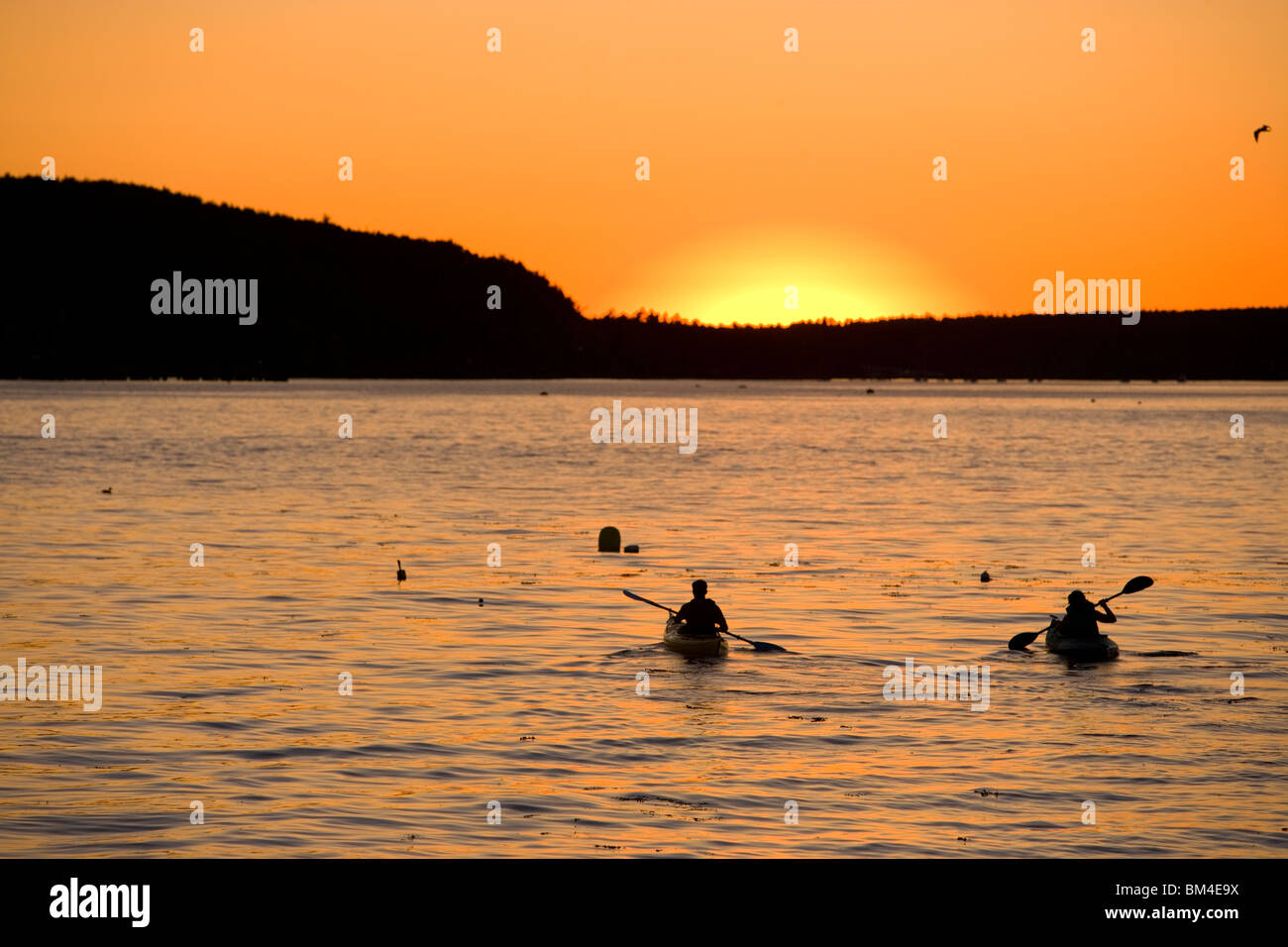 Kayaking into the sunset. Frenchman Bay, bar Harbor, Maine. Mount ...